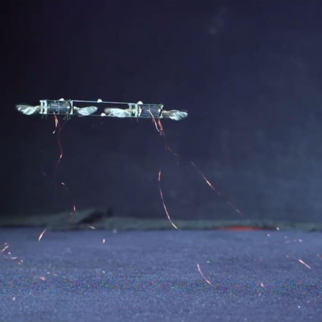 Researchers introduce a new generation of tiny, agile drones - Robotplace