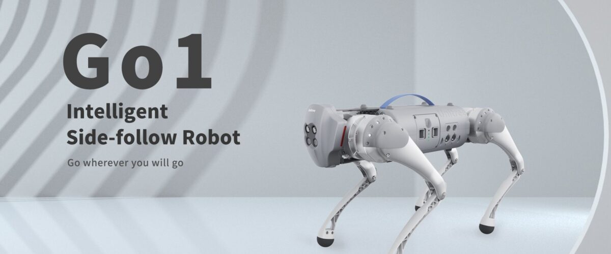 The Chinese company has released a “companion robot” for $ 2,700 – 27.5 ...