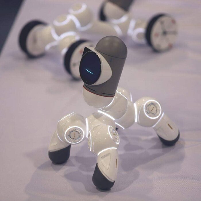 ClicBot Standard Kit - Robotplace