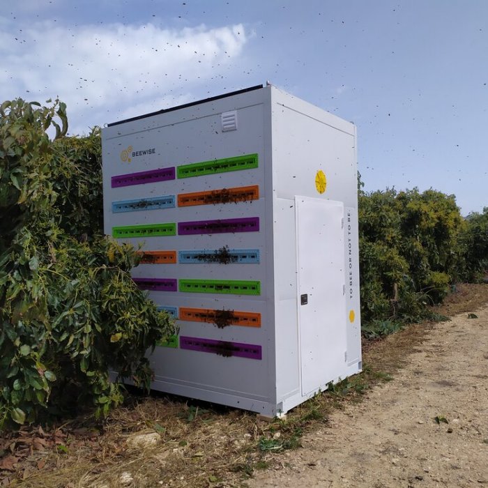 Buy BeeHome in Online Shop: Prices by RobotPlace