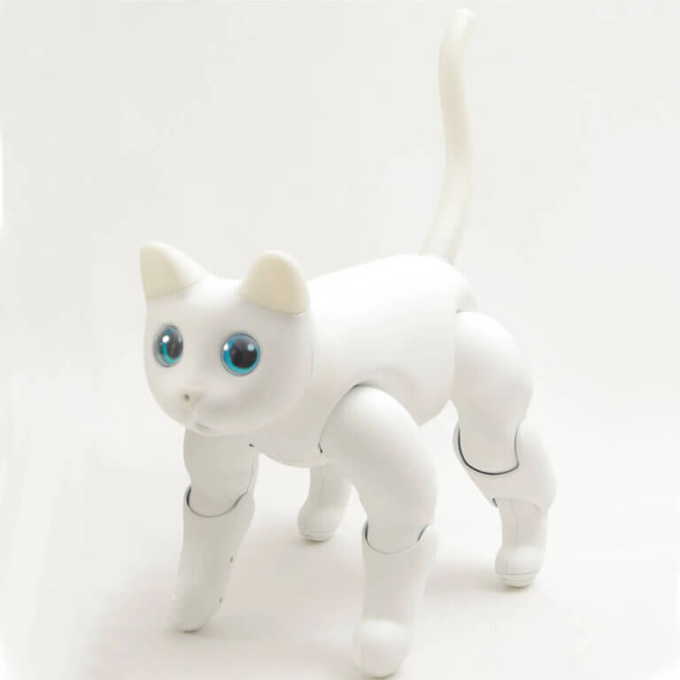 MarsCat: A Bionic Pet Cat, Home Robot Cats - Robotplace