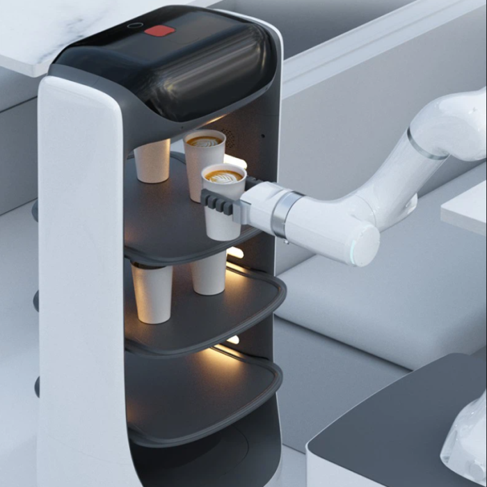 Reeman Cobots 6 Axis Collaborative Robot Arm Collaborative Coffee Robot Cooperative - Robotplace