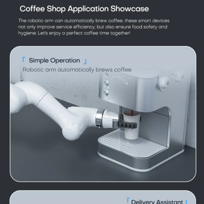 Reeman Cobots 6 Axis Collaborative Robot Arm Collaborative Coffee Robot Cooperative - Robotplace